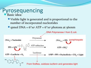 dna sequencing methods | PPT