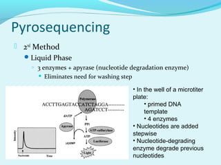 dna sequencing methods | PPT