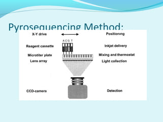 dna sequencing methods | PPT