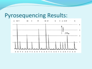 dna sequencing methods | PPT