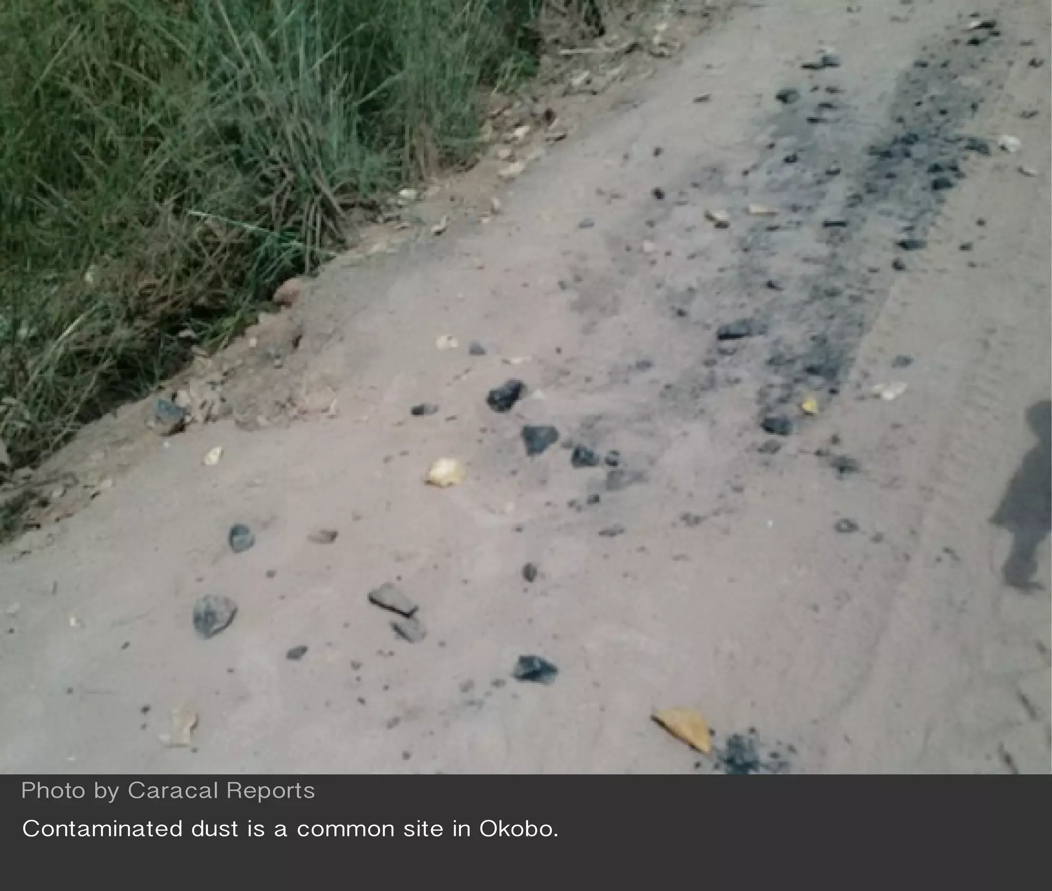 Contaminated dust | PPT