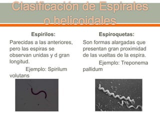 Estudio%20 general%20de%20los%20microorganismos | PPTX