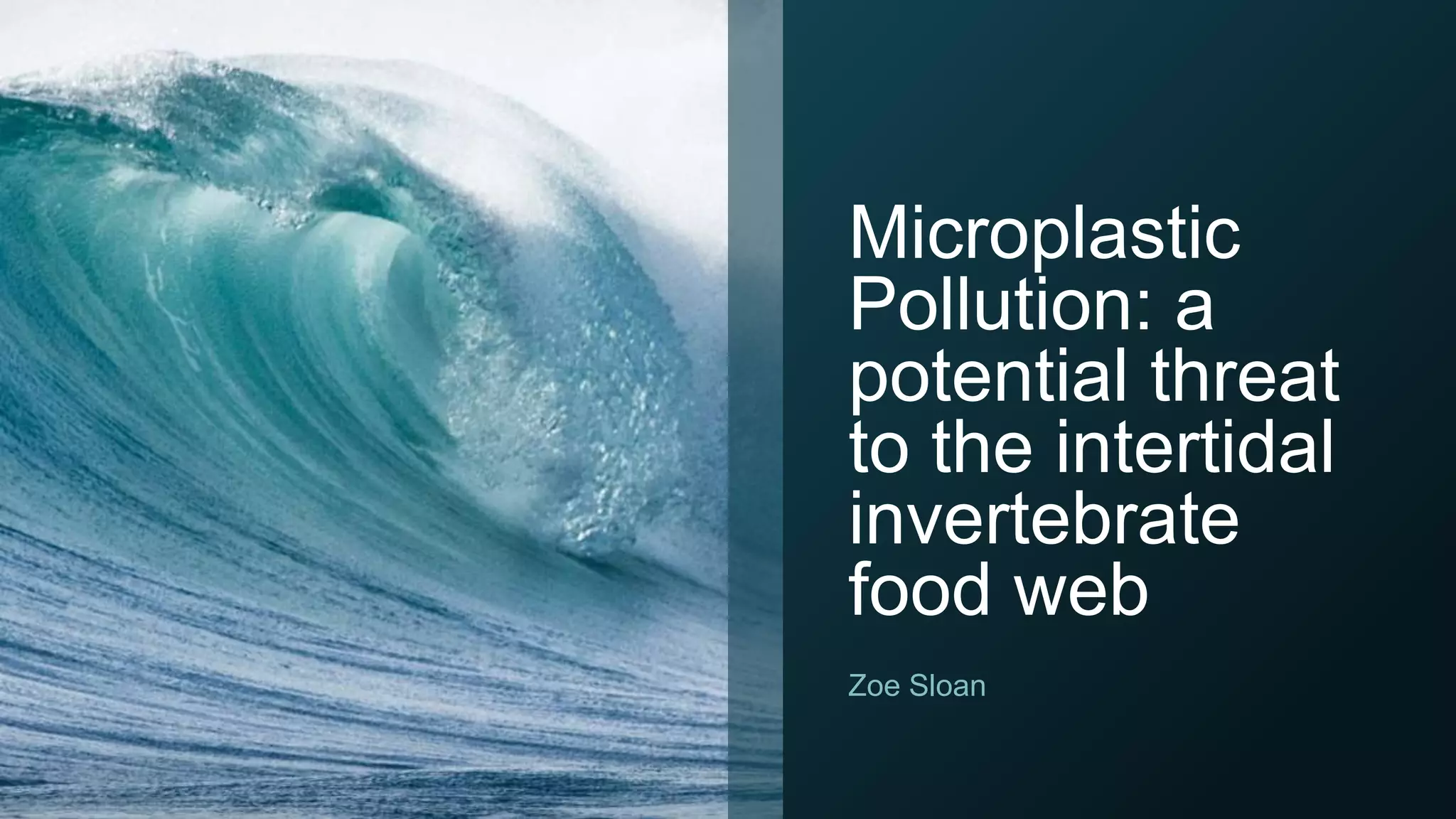 Microplastic Pollution - Presentation | PPTX