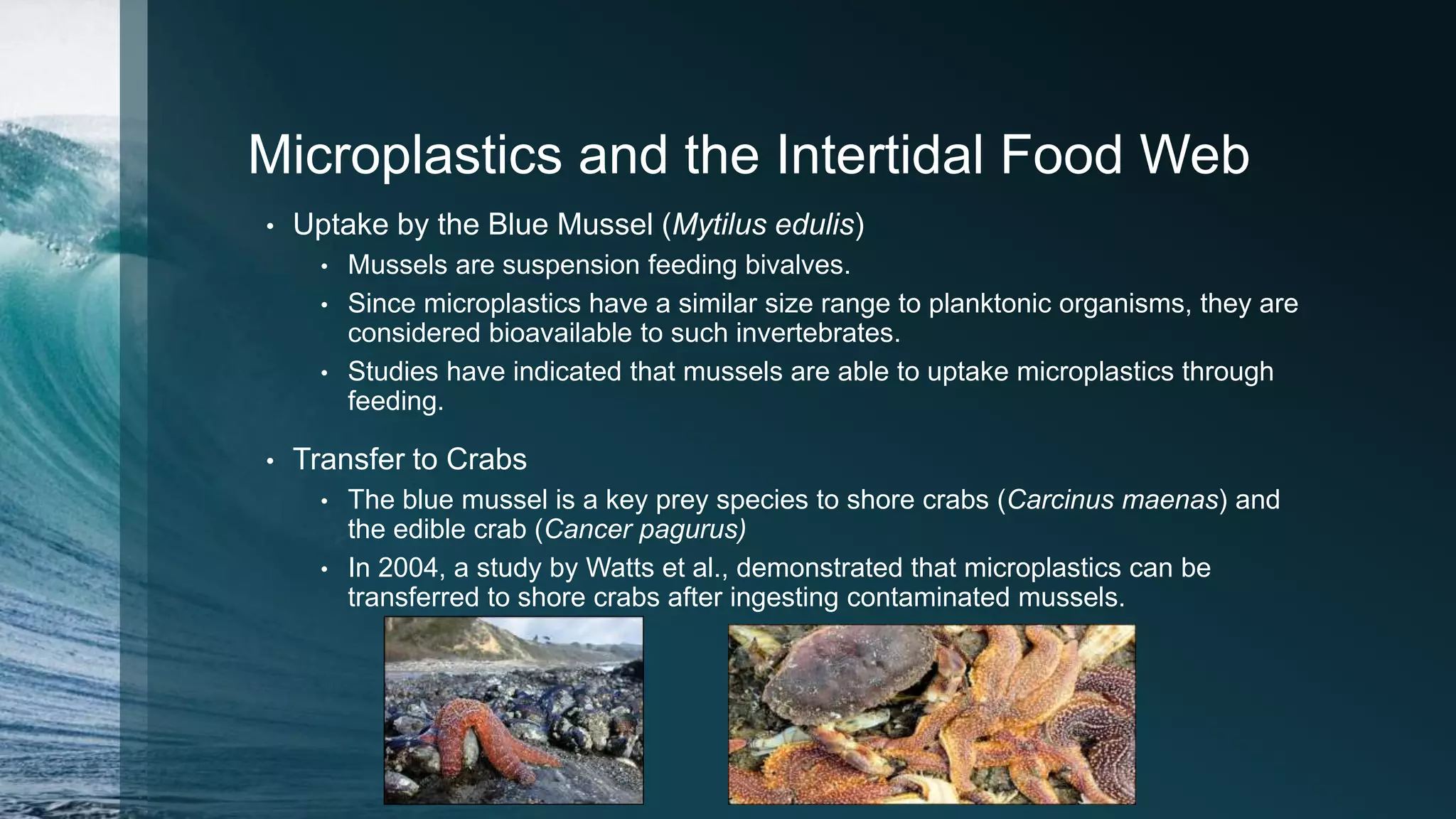 Microplastic Pollution - Presentation | PPTX