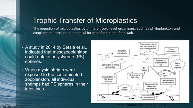 Microplastic Pollution - Presentation | PPTX | Environment | Science