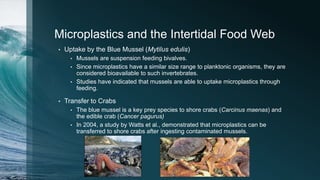 Microplastic Pollution - Presentation | PPTX