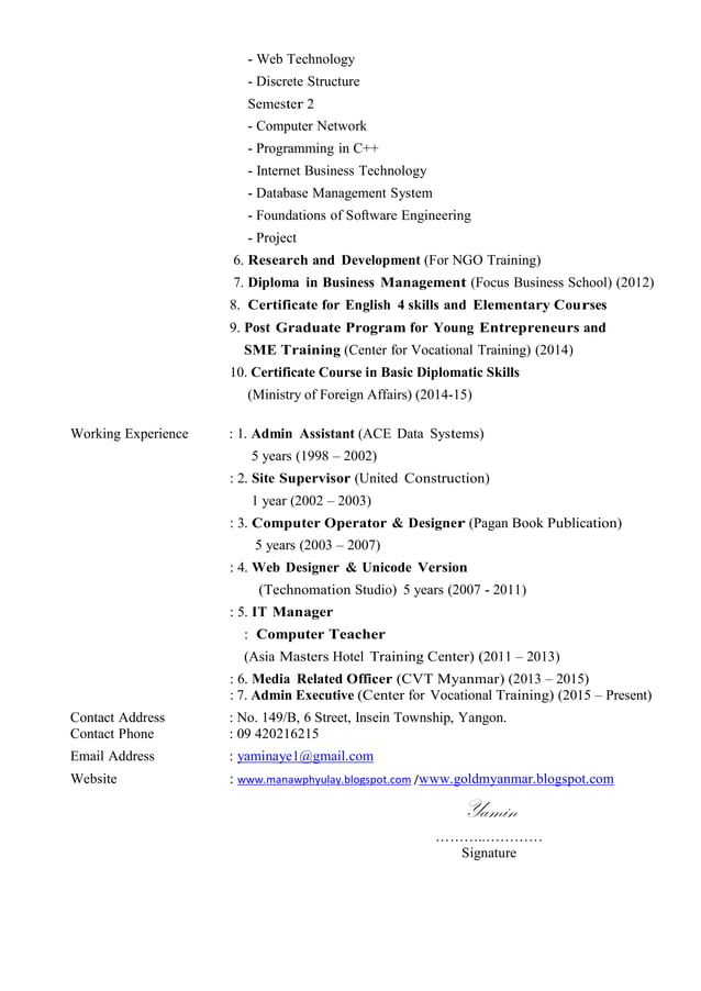 CV Form (Yamin Aye) | PDF