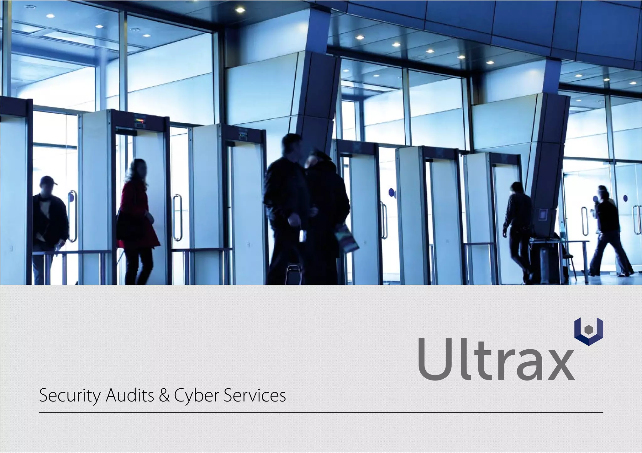 Security Audits & Cyber | PDF
