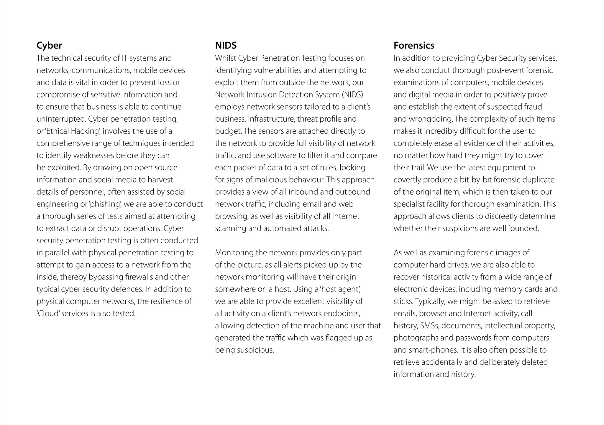 Security Audits & Cyber | PDF