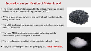 Industrial production of chemical acids glutamic acid | PPTX