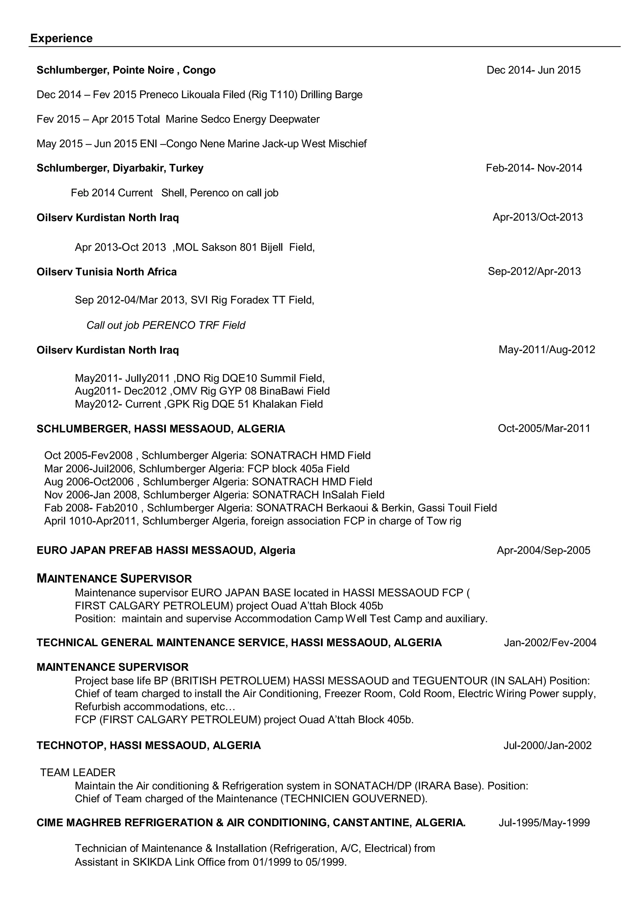 Ali Hichem Lakhdari C V | PDF