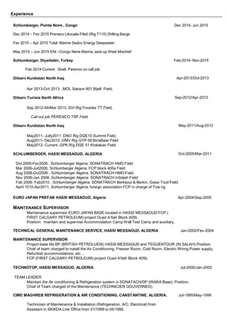 Ali Hichem Lakhdari C V | PDF