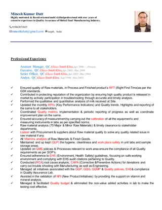 CV - Minesh - 2017 | DOCX