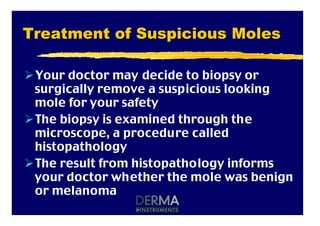Molemax Presentation | PPT