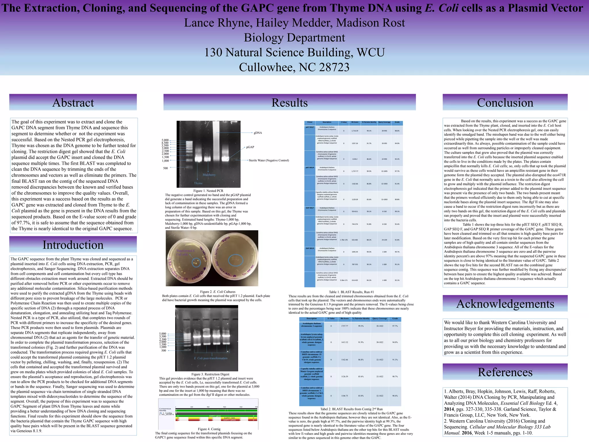 Cell and Molec Poster FINAL | PDF