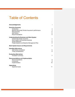 Work Systems Analysis Report | PDF