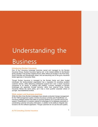 Work Systems Analysis Report | PDF