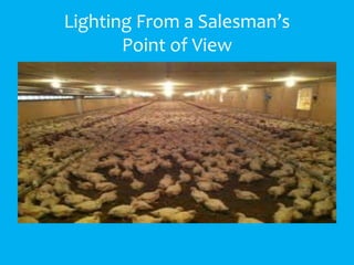 Livestock and Poultry Presentation1.pptx Final Draft | PPTX