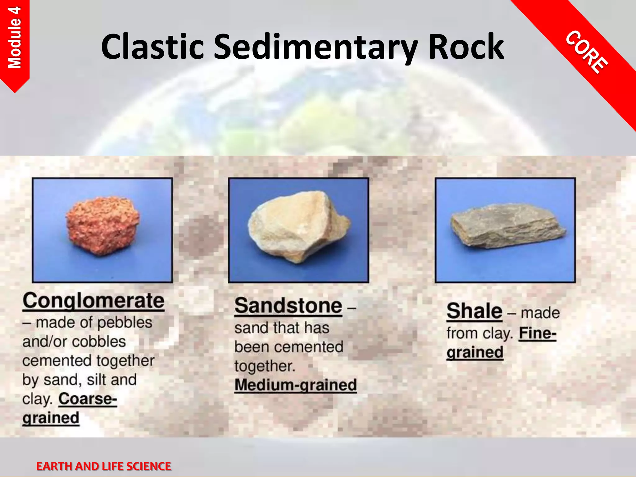 4_Earth_and_Life_Science.pptx