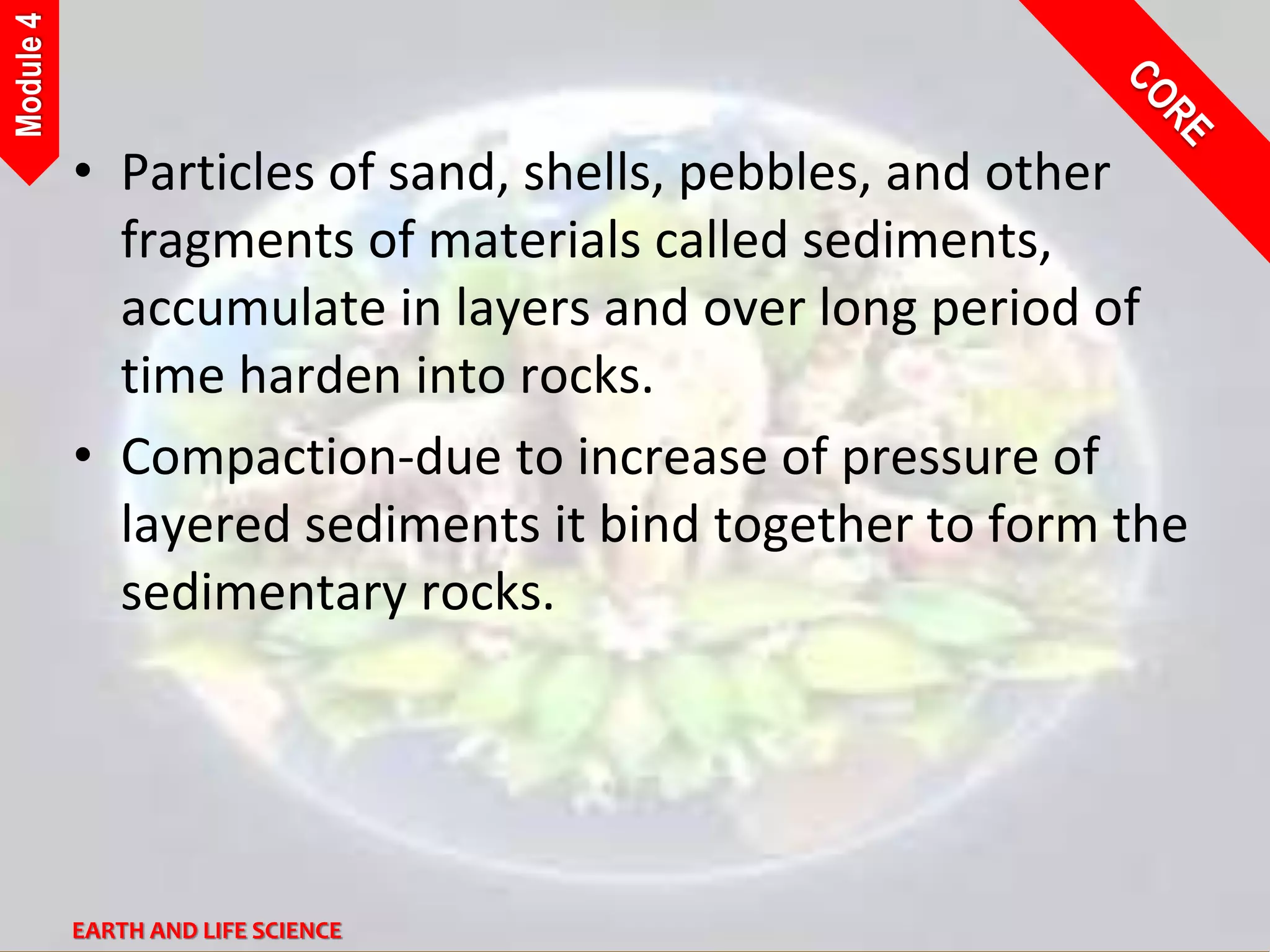 4_Earth_and_Life_Science.pptx