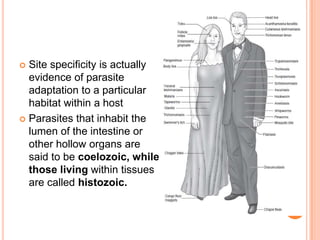 4 ecology of parasites part 1 | PPTX