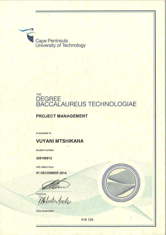 Project Degree | PDF