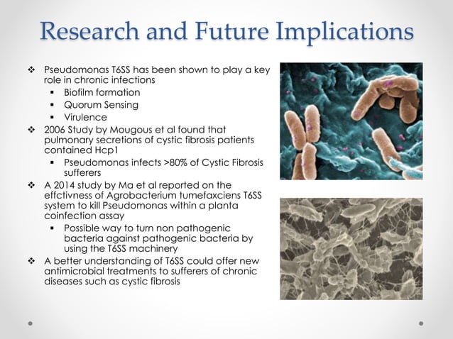 Type 6 Secretion Systems | PPTX | Genetics | Science