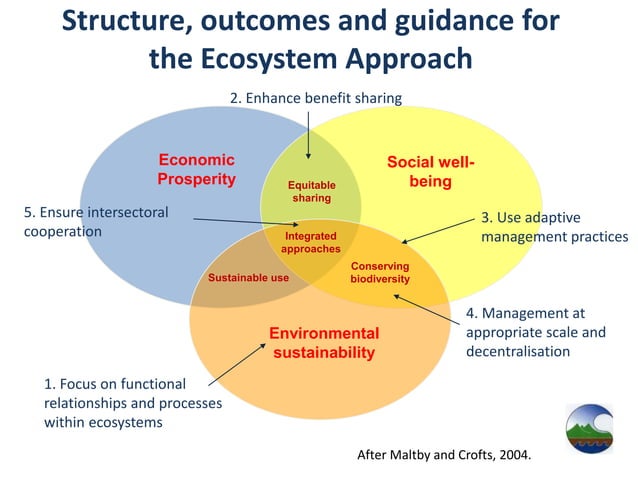 4 ed maltby ecosystem approach | PPT