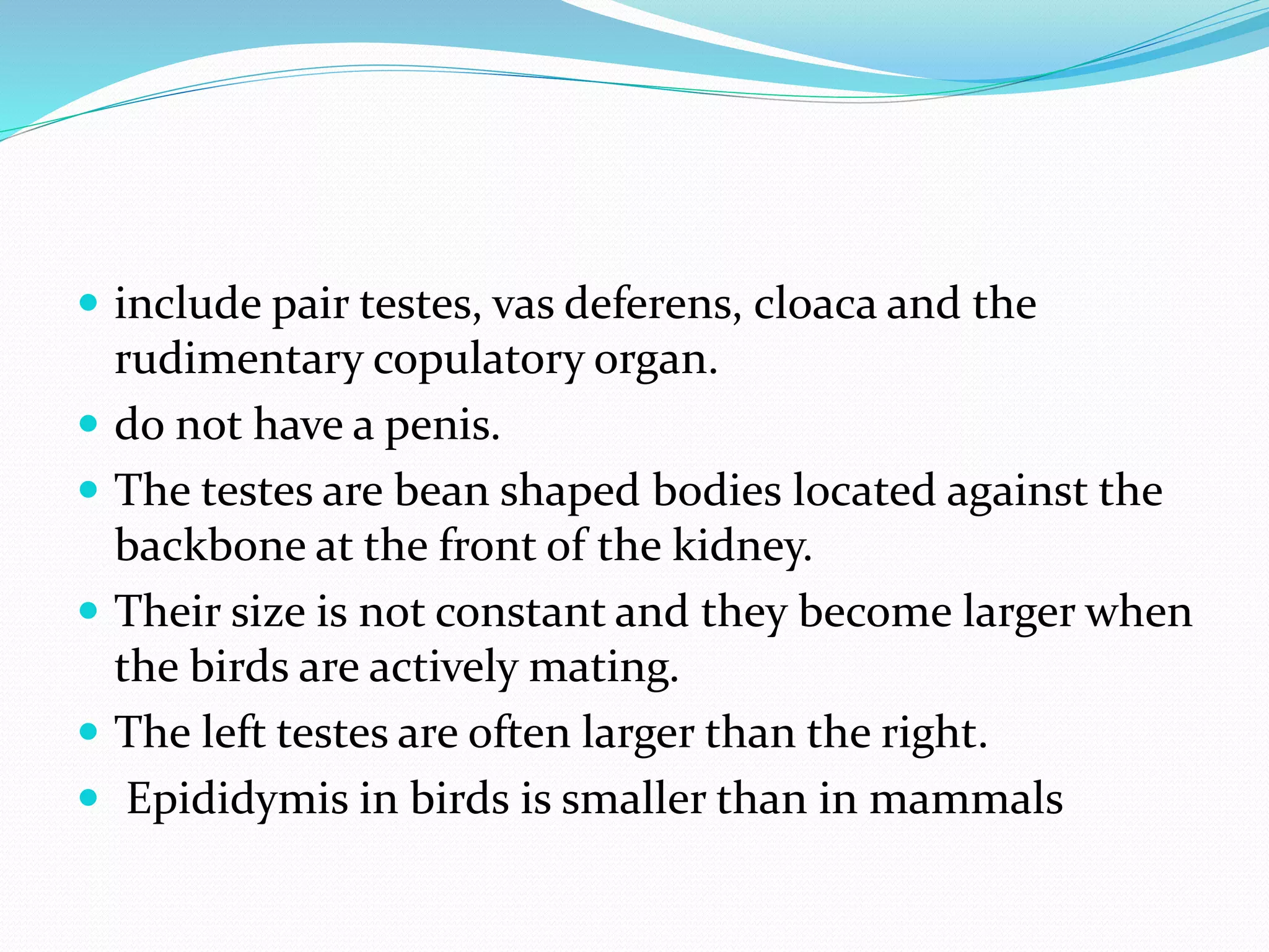 Female Reproductive system of Fowl, Egg formation and Egg structure | PPTX