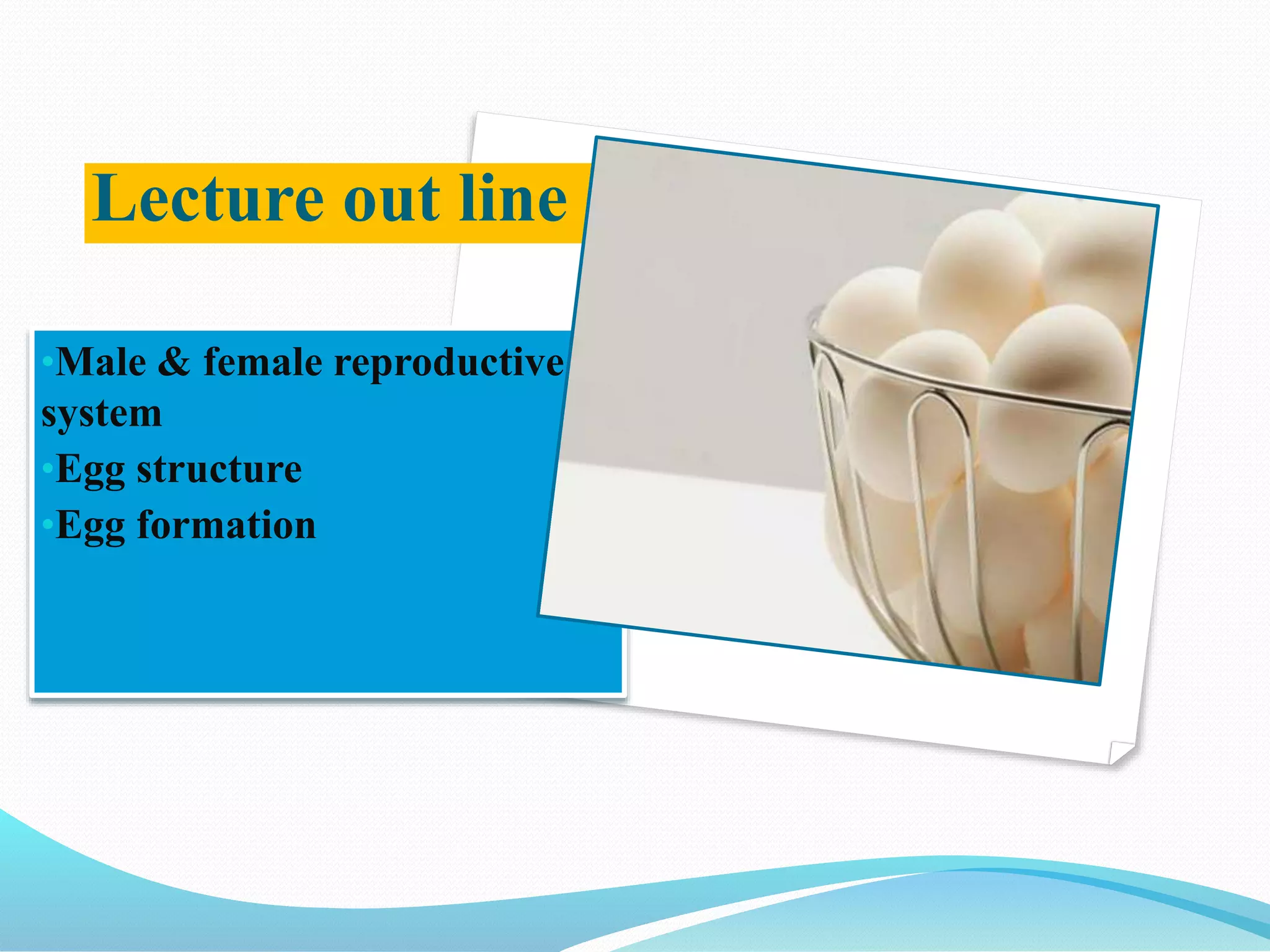 Female Reproductive system of Fowl, Egg formation and Egg structure | PPTX