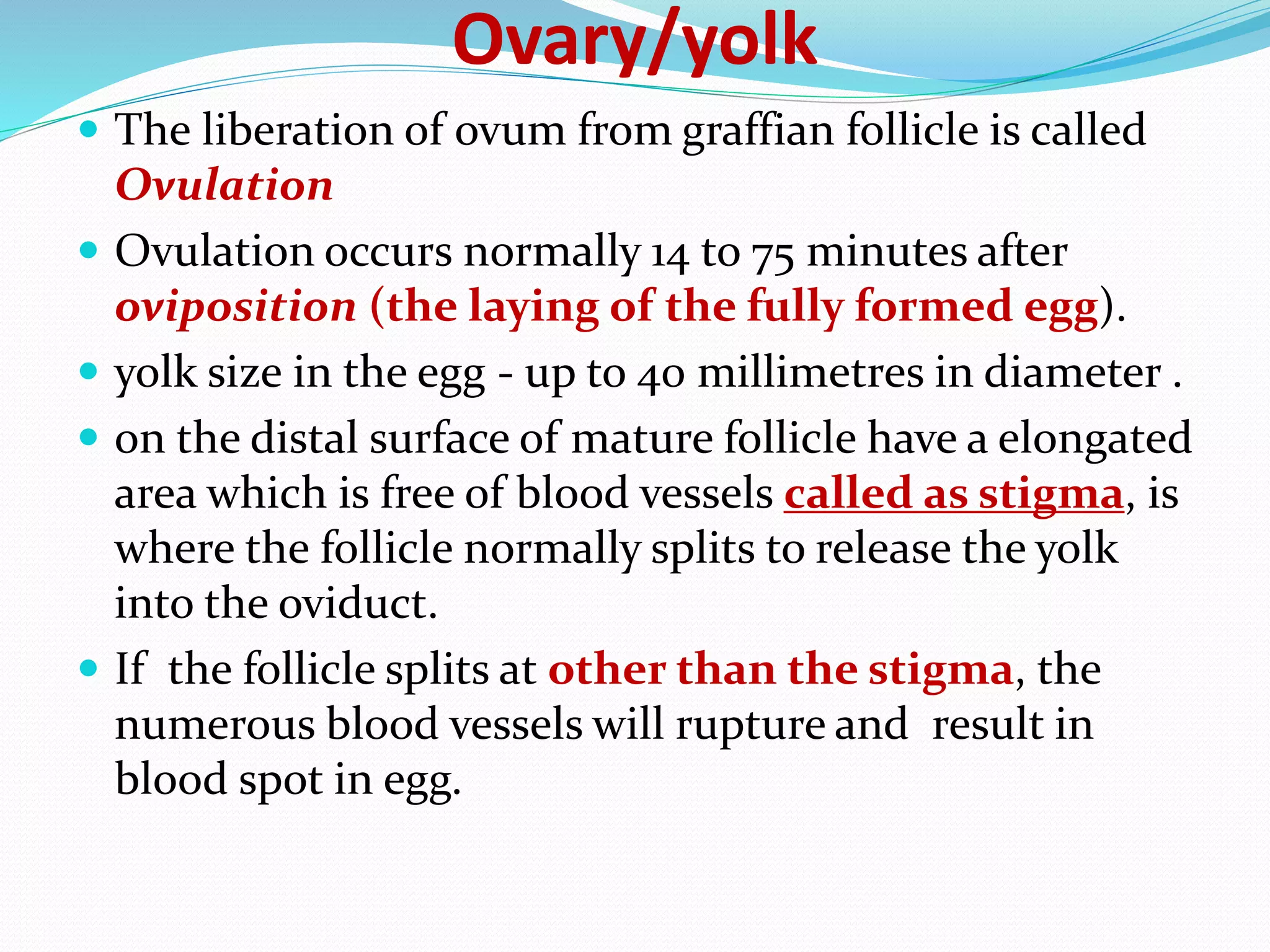 Female Reproductive system of Fowl, Egg formation and Egg structure | PPTX