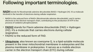 DPT - Biochemistry & Genetics - II (Bioenergetics) Electron Transport ...