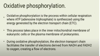 DPT - Biochemistry & Genetics - II (Bioenergetics) Electron Transport ...