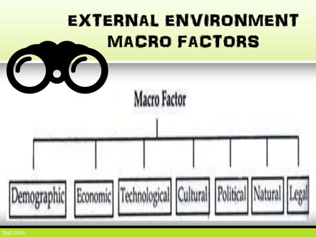 Elements of Firm's Environment | PDF