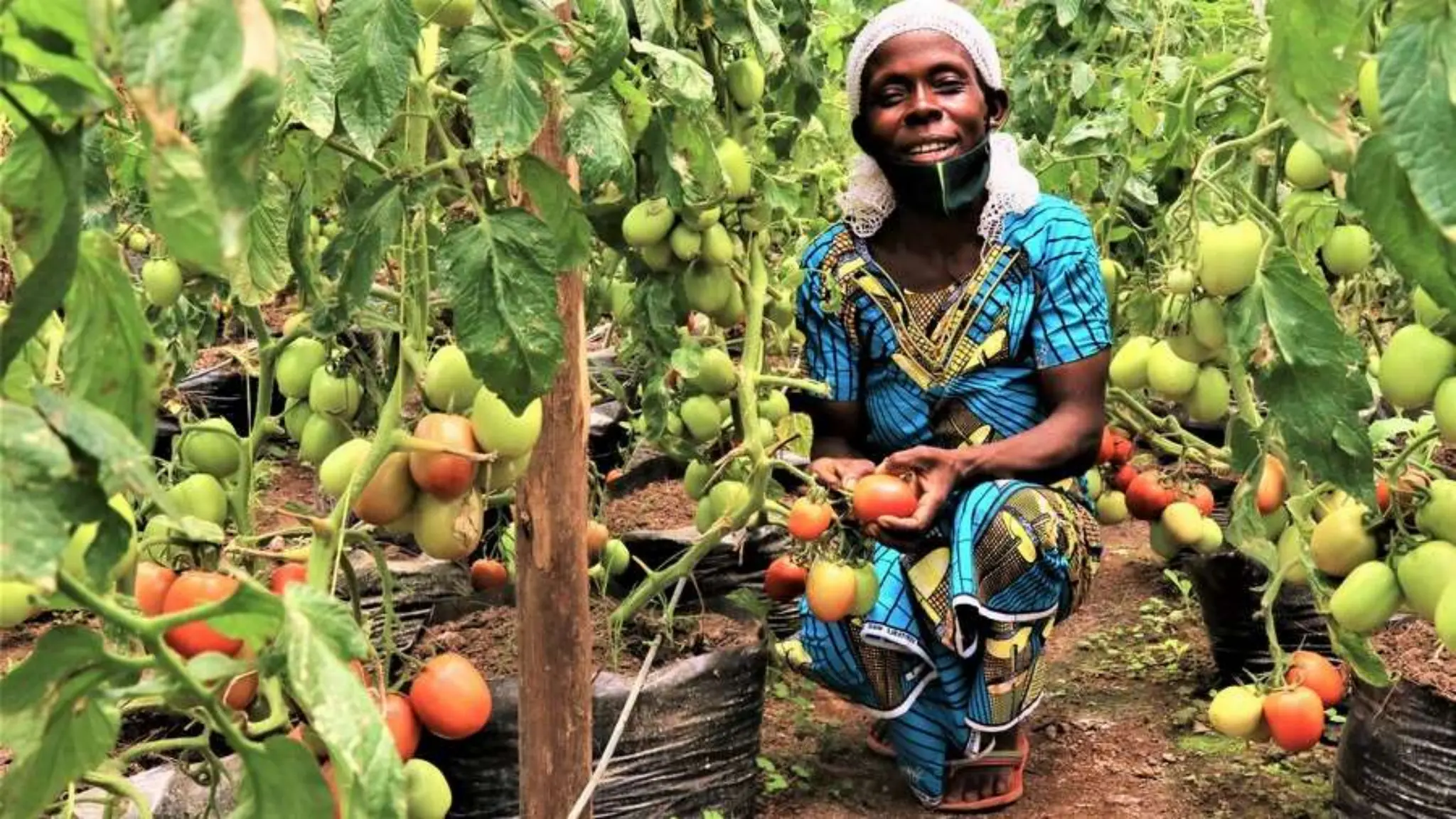 Inclusive market development for urban and rural prosperity | PPTX