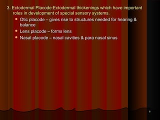 4embryonic period... | PPT