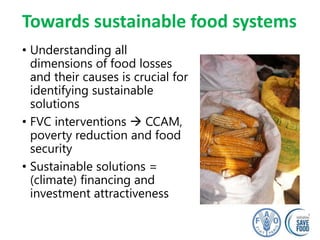Food losses in food value chains – analysing causes and identifying ...