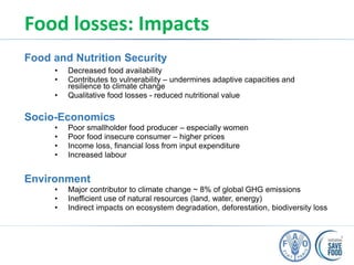Food losses in food value chains – analysing causes and identifying ...