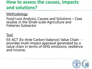 Food losses in food value chains – analysing causes and identifying ...