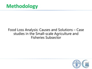 Food losses in food value chains – analysing causes and identifying ...