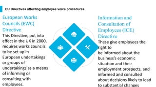 Employee Voice for the Organizations & its forms | PDF