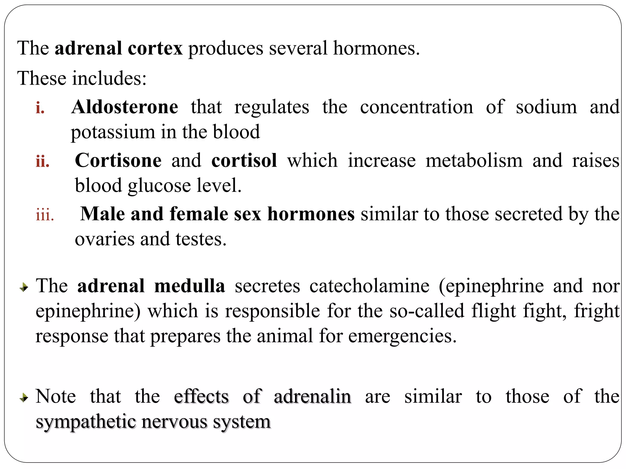 4 Endocrine system.pdf