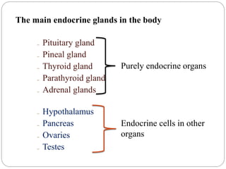 4 Endocrine system.pdf