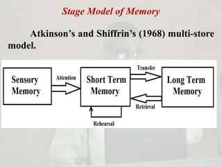 long term memory (third stage of memory system) | PPSX