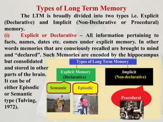 long term memory (third stage of memory system) | PPSX
