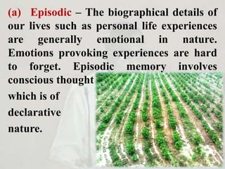 long term memory (third stage of memory system) | PPSX