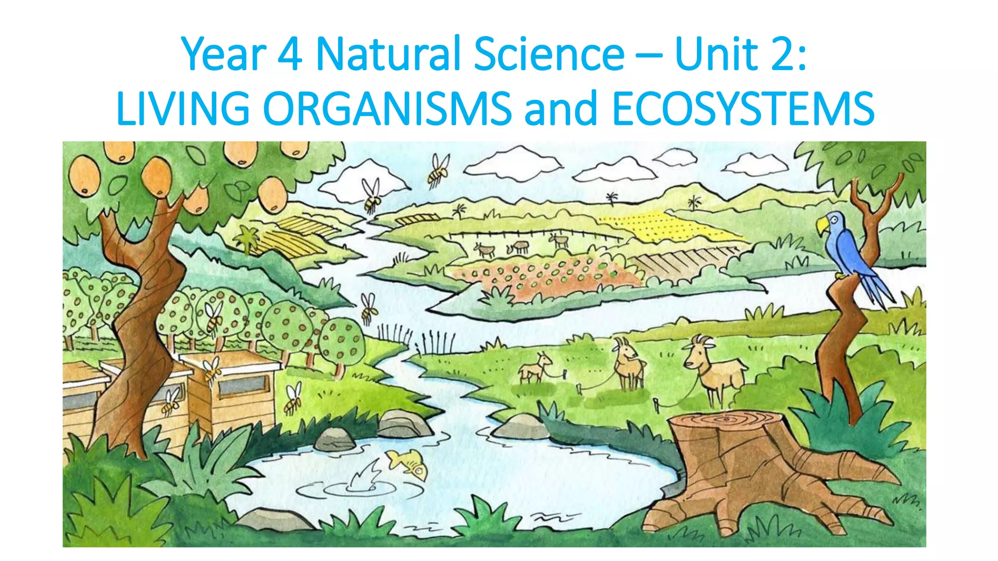 living organisms and ecosystems | PPT