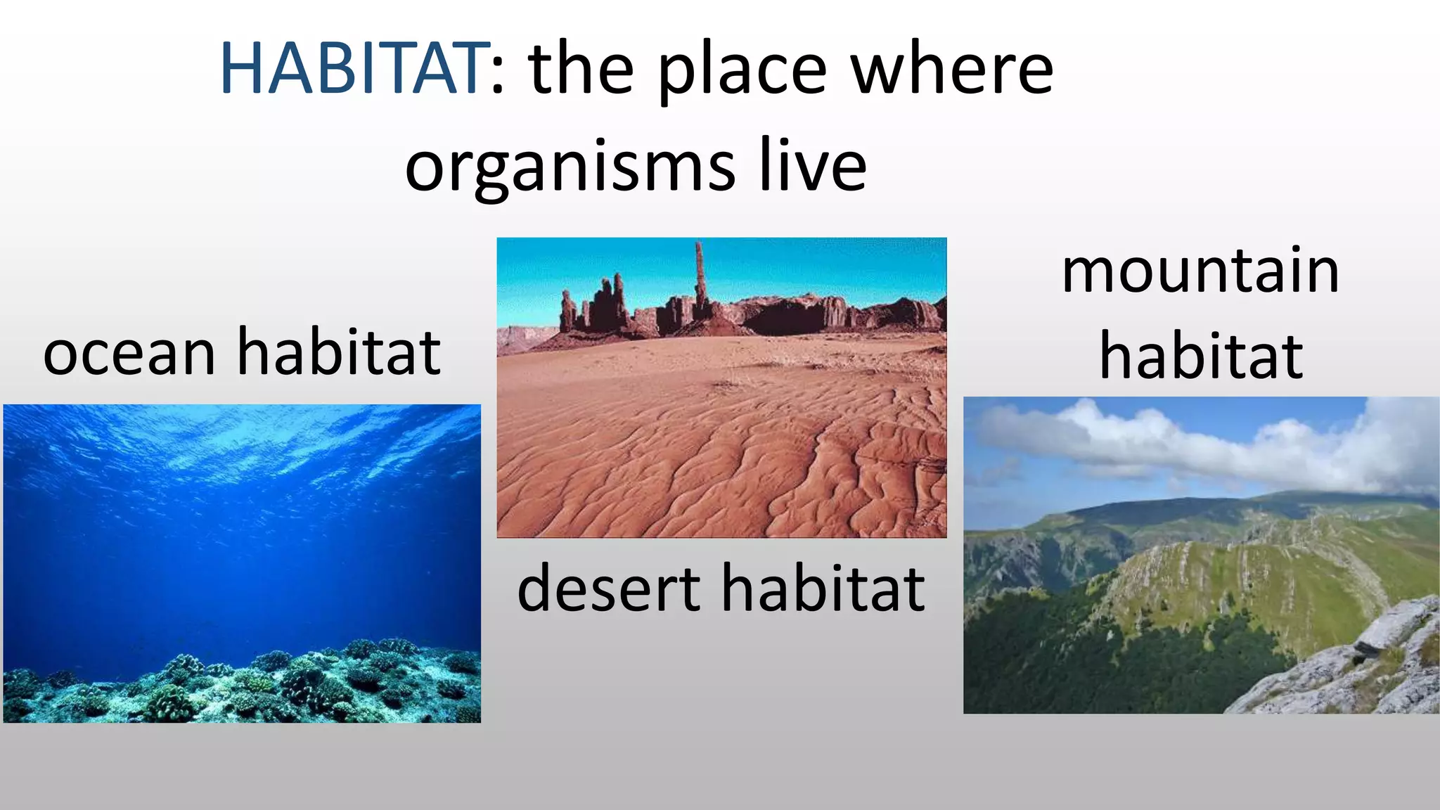 living organisms and ecosystems | PPT