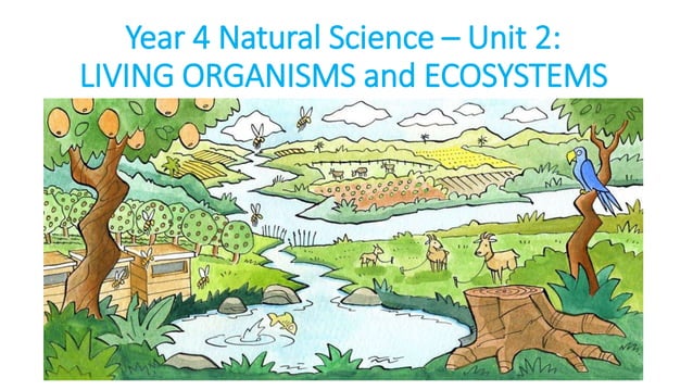 living organisms and ecosystems | PPT