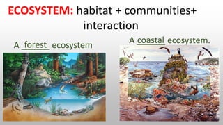 living organisms and ecosystems | PPT
